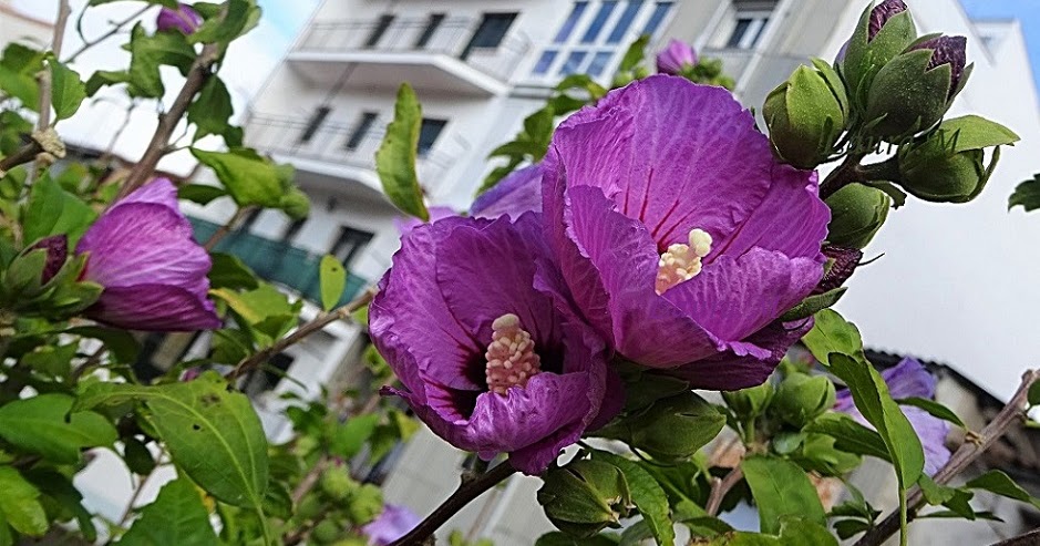 Así me gusta el mundo: LOS COLORES DE OCTUBRE.