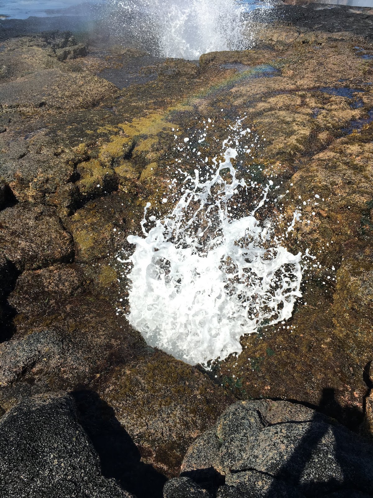 New ZimZim: Professional Development Vaiola, Savai'i, Samoa