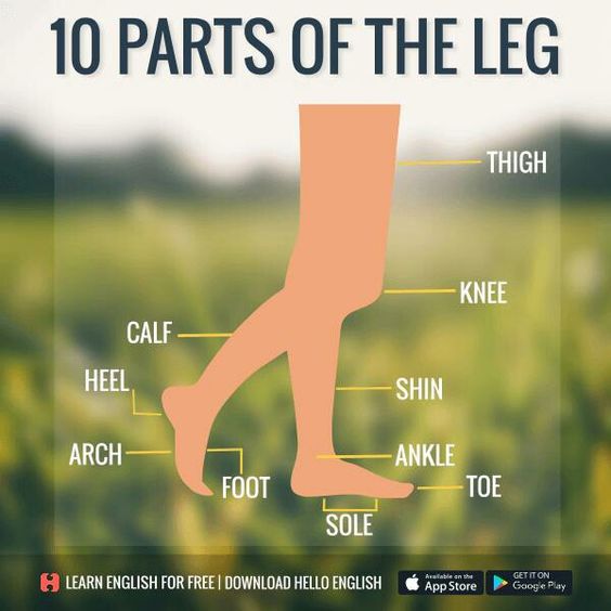 เรียนภาษาอังกฤษ ความรู้ภาษาอังกฤษ ทำอย่างไรให้เก่งอังกฤษ Lingo Think in ...