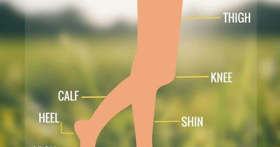 เรียนภาษาอังกฤษ ความรู้ภาษาอังกฤษ ทำอย่างไรให้เก่งอังกฤษ Lingo Think in ...