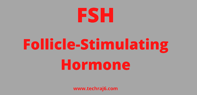 FSH full form, What is the full form of FSH