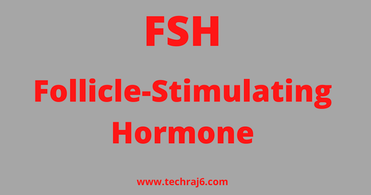 FSH full form, What is the full form of FSH