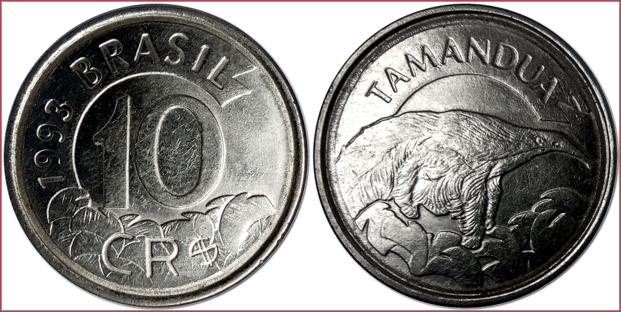 Cruzeiro real: coin from Federative Republic of Brazil (1993-1994); 100 ...