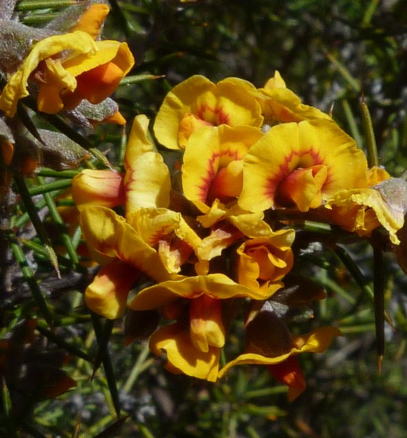 Spring hits Kowen Forest