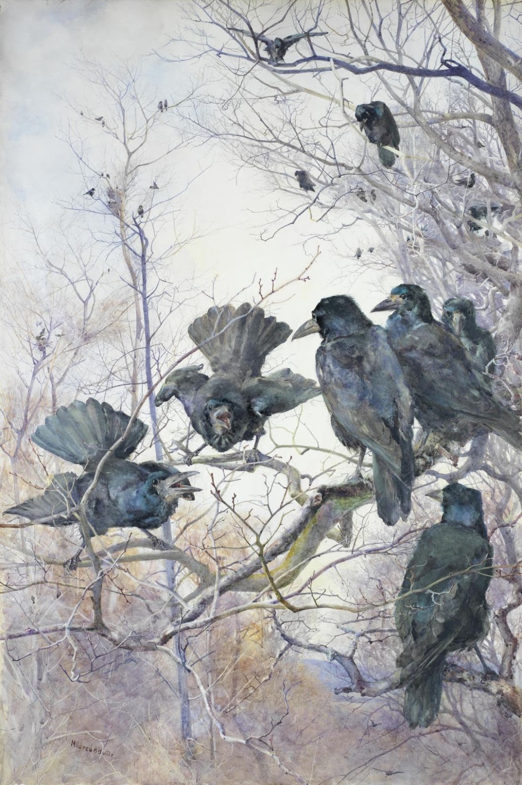 Gurney Journey: Mildred Butler