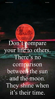 Make The Most Of Life Quotes