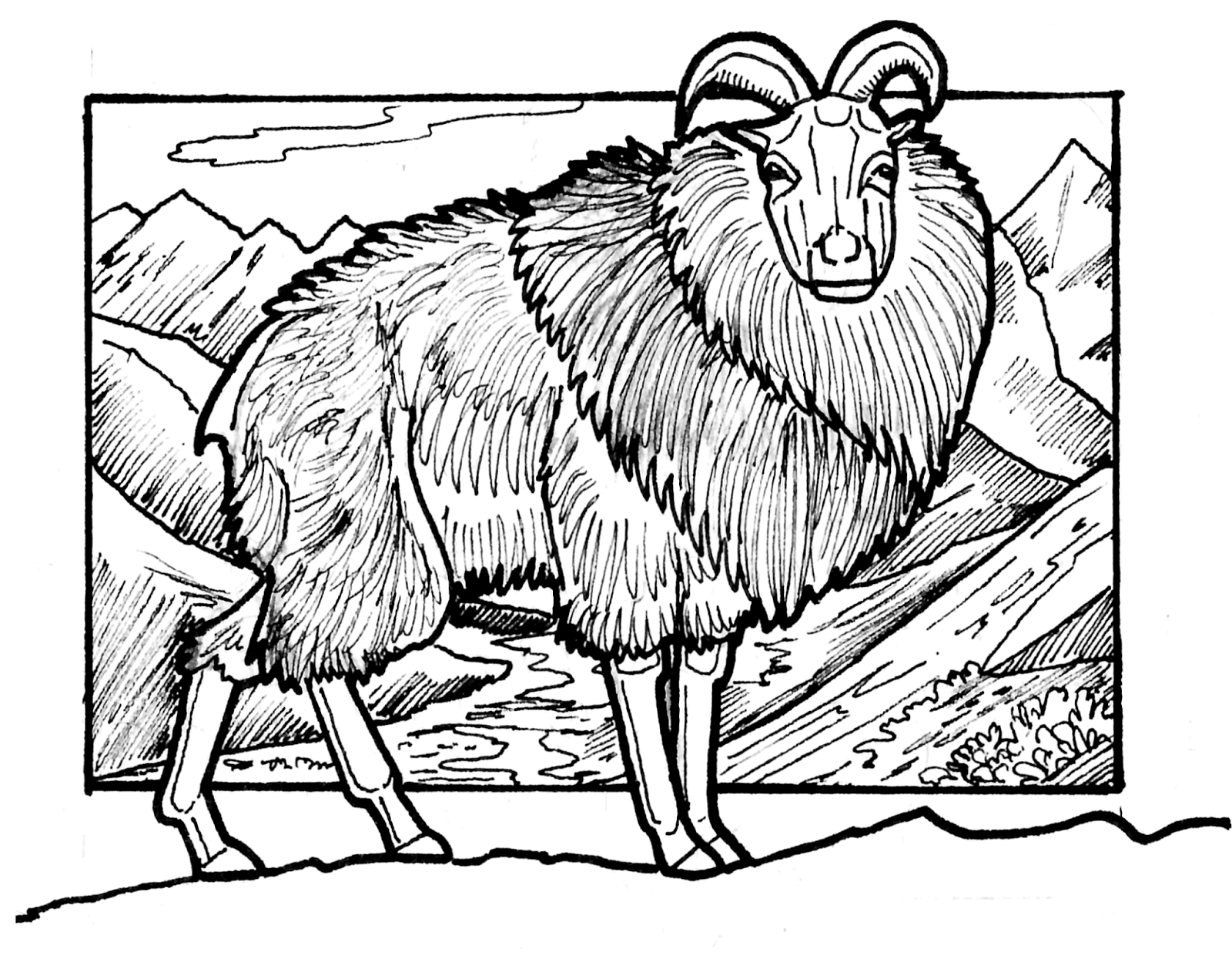 ZooTrophy Animal-a-Day Database: November 2015