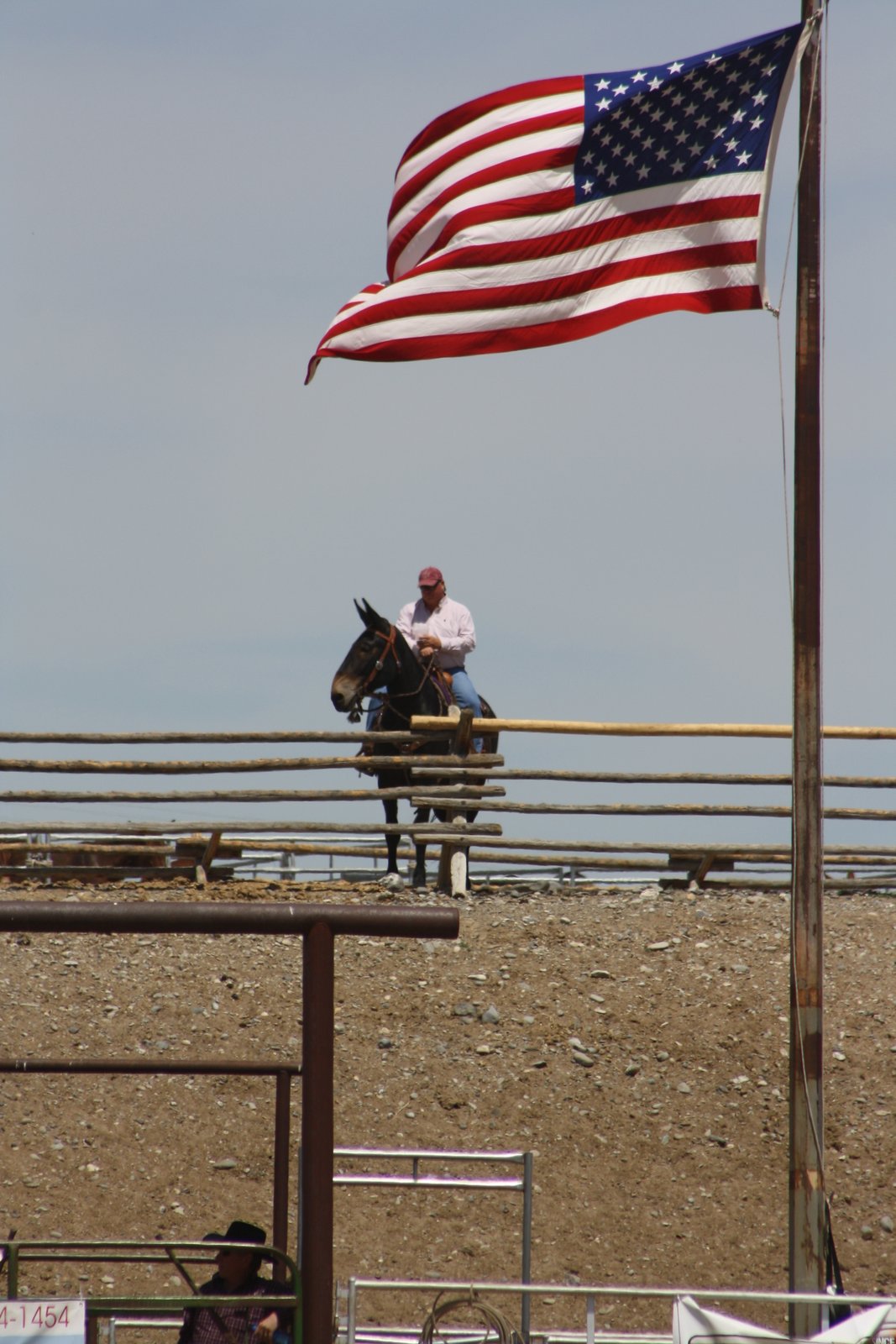 PairADice Mules: Jake Clark Mule Day Rodeo
