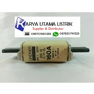 Jual NH Fuse Linder 1/160A Pemutus Sikring Listrik di Pasuruan - Karya ...