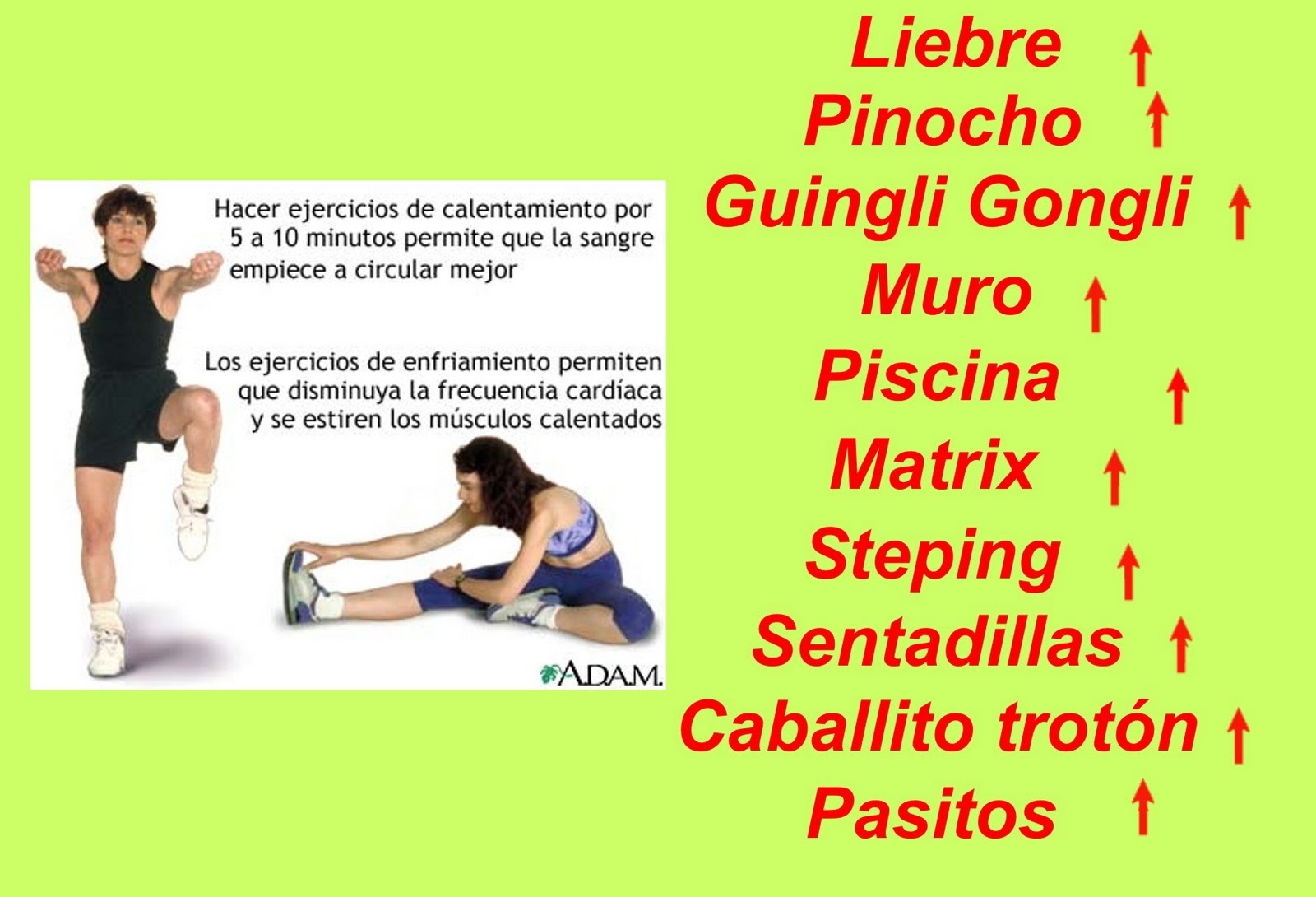 Educación Física CPR "Santa María de la Peña": Tipos de calentamientos en una clase de Educación ...