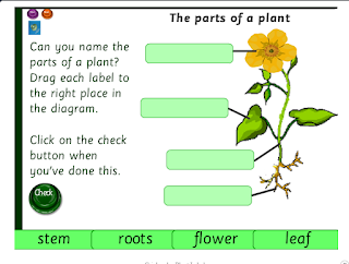 Science in Year 5: 2015