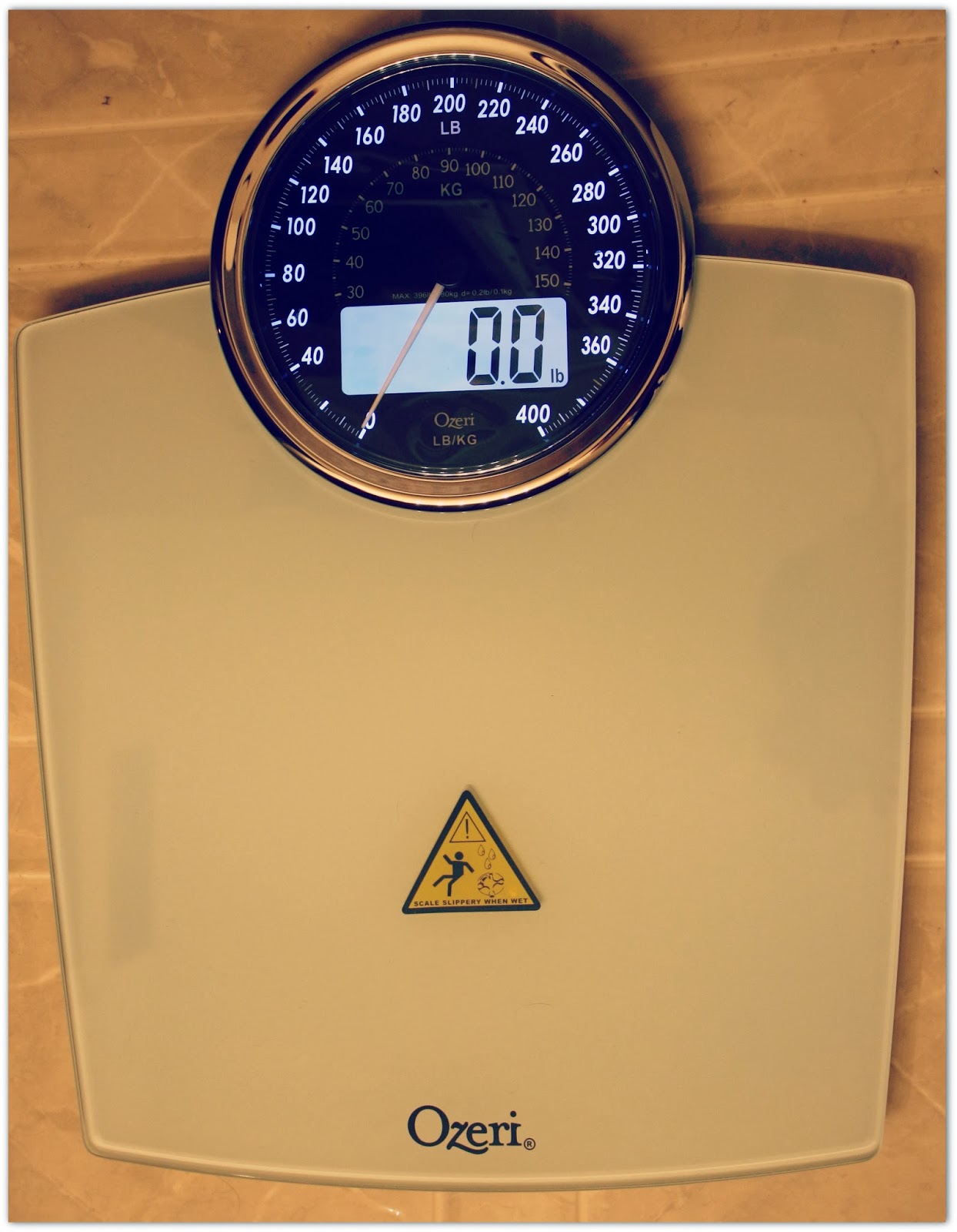 Enchanted Excurse: November 2013