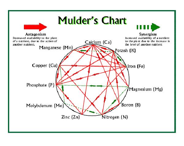 SenseOfHumus: Nitrogen – our number one soil nutrient