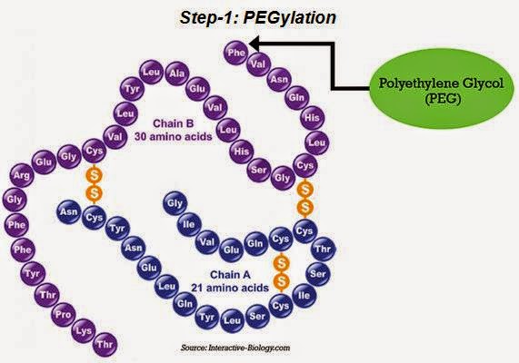 ANTB: AntriaBio Prepares For Clinical Study Of Once Weekly Insulin
