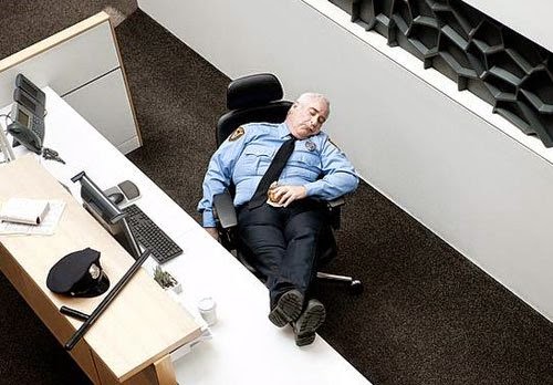 Sleeping Security Guards - The Moo Show