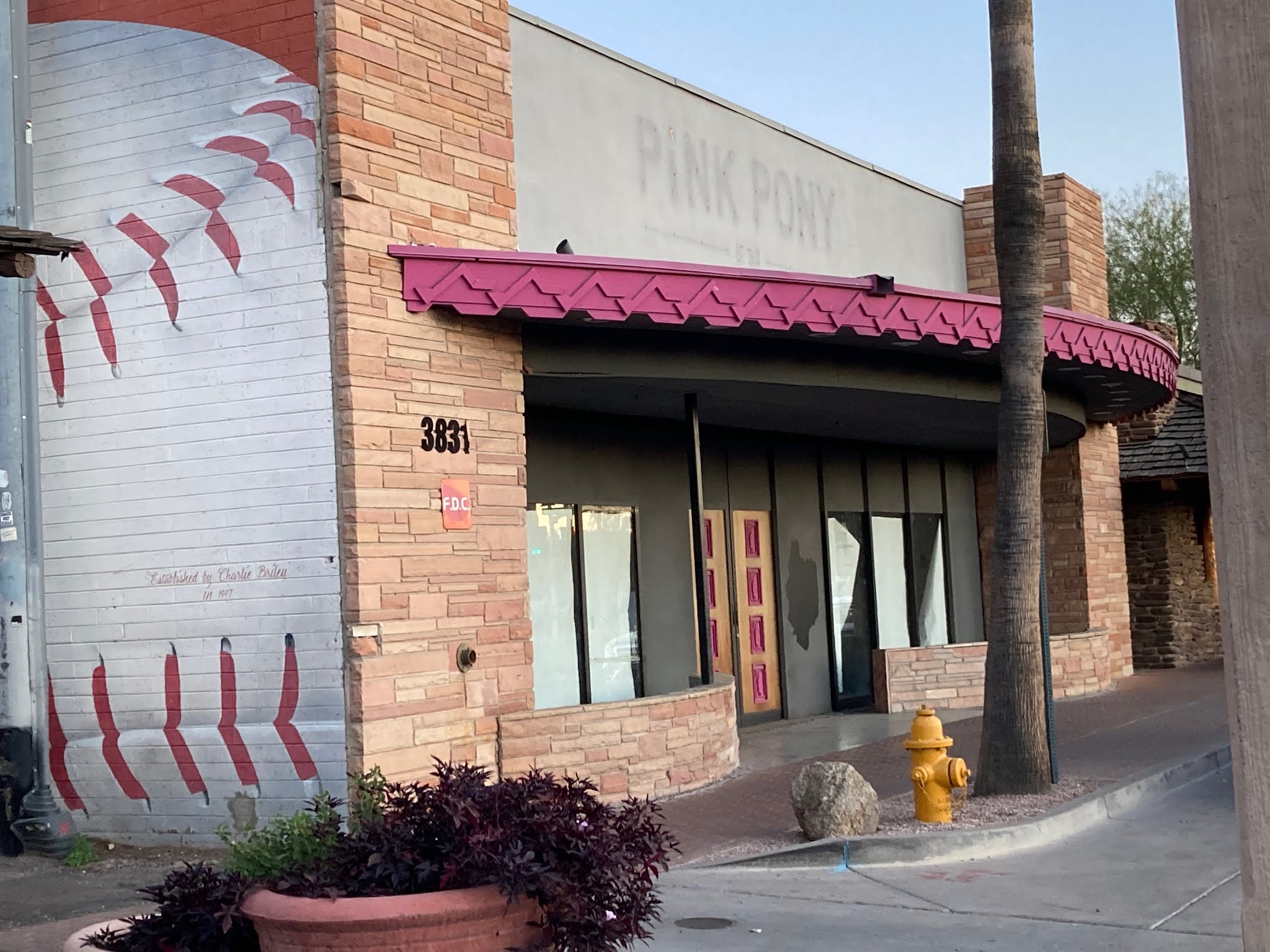 San Francisco Ball Scribe: Fans of the Pink Pony, Don and Charlie's and ...