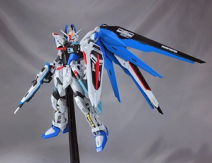 MG 1/100 Freedom Gundam Custom Build