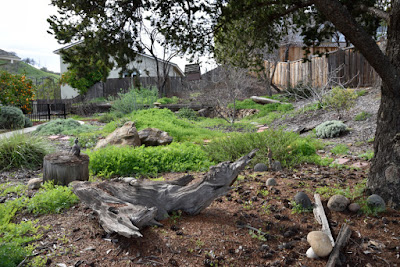 We didn't come here for the grass...: The Abandoned Garden - Before and ...