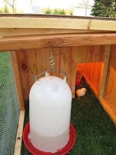 Joe's Garden Journal: DIY Outdoor Chicken Brooder / Broody Hen Box