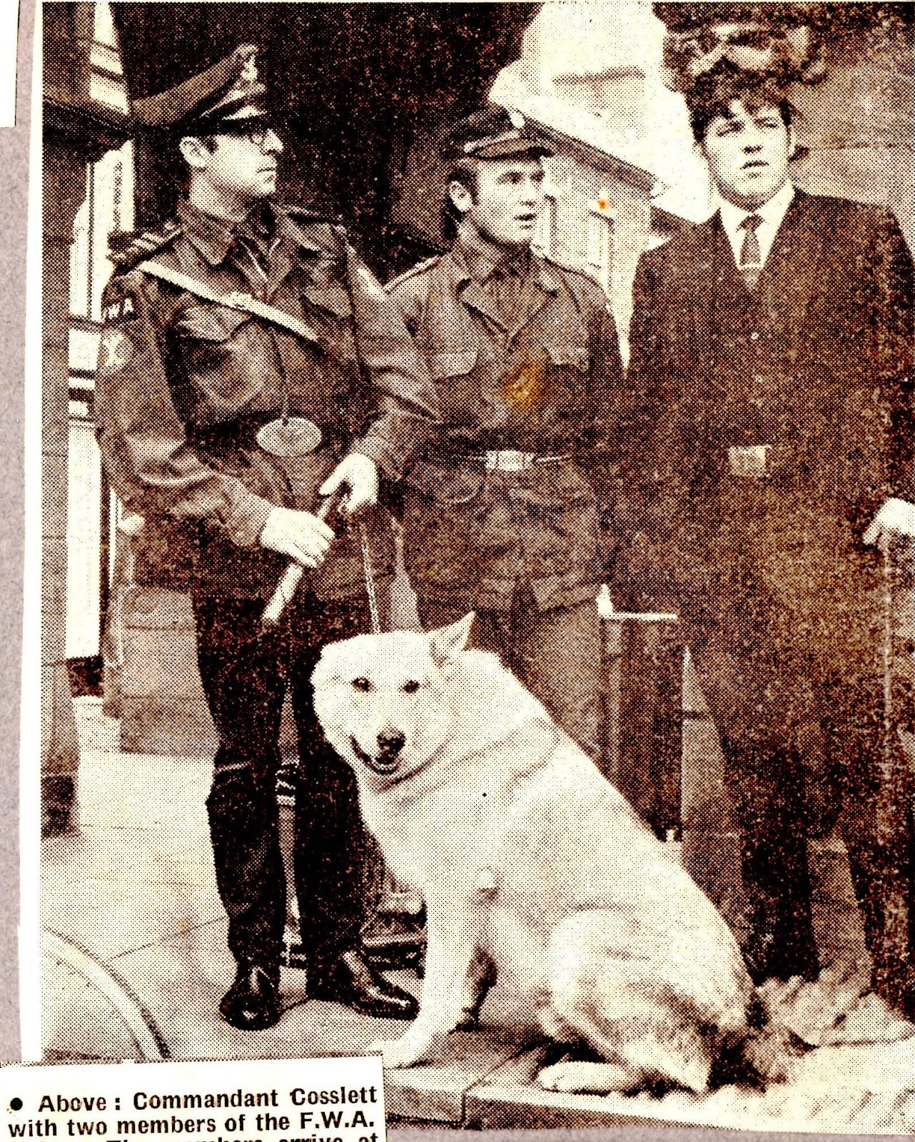 GETHIN AP GRUFFYDD: THEY SEIZED THE TIME 'SIXTIES STRUGGLE' OF THE ...