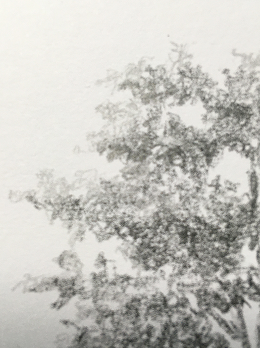 Pencil Sketch of a Shed