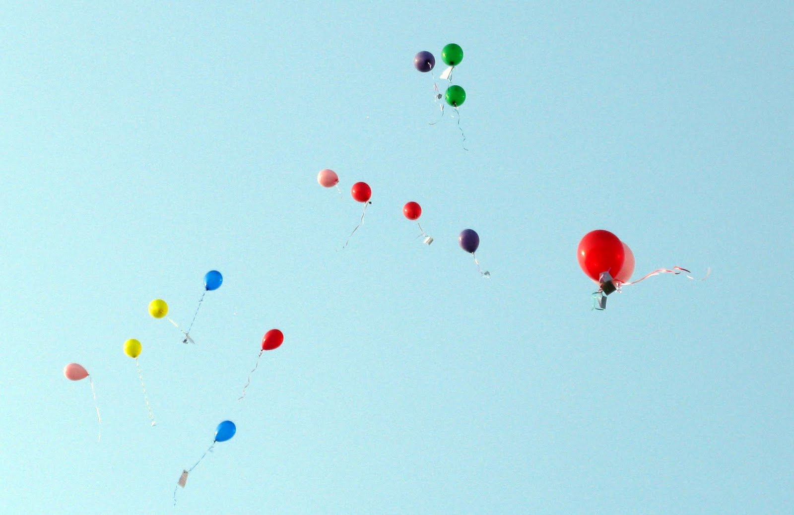 Oak Tree Corner: Oak Tree Corner Celebrates Another Great Year with ...