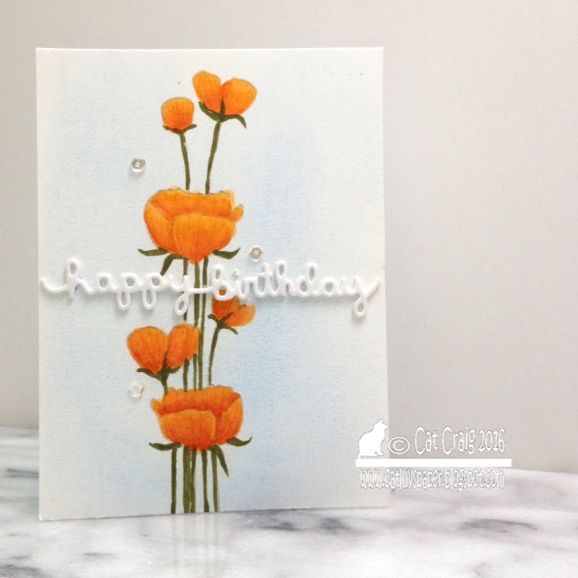 Cat Luvs Paper: California Poppy