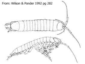 Variety of Life: July 2011