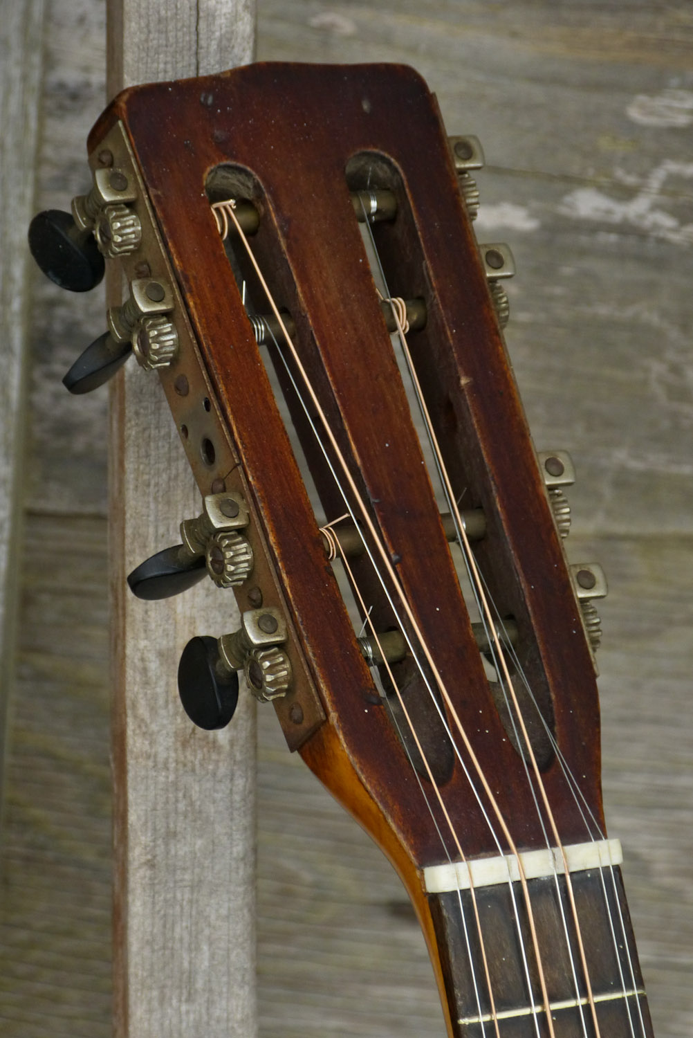 1920s Harmony-made Bruno Tiple