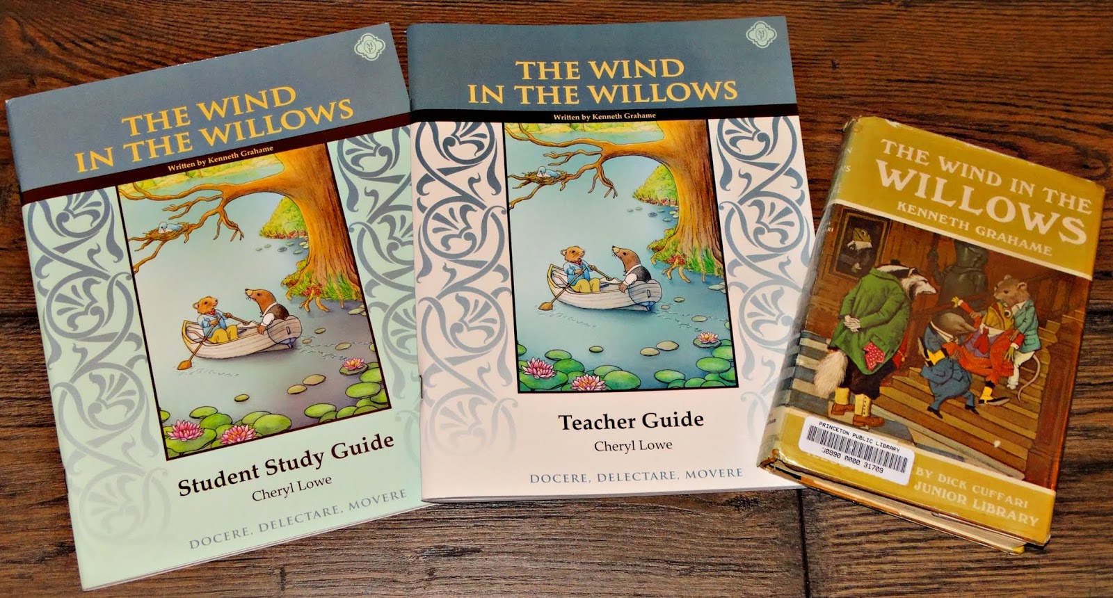 Embracing a Healthy Family: Our Review of Eighth Grade Literature Guide ...