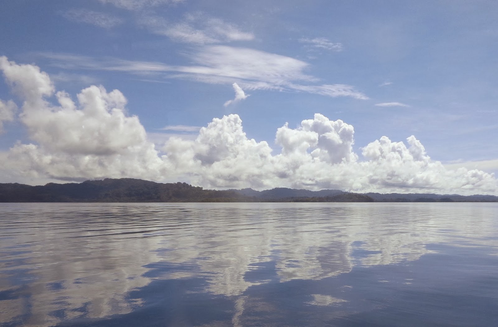 No direction home ... a complete unknown ... like a rolling luggager ...