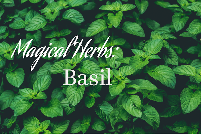 Magical Herbs - Basil