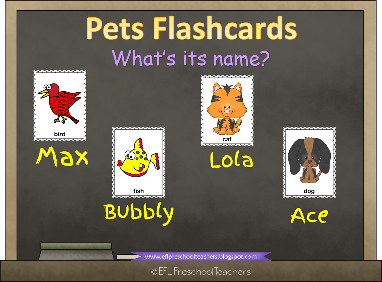 ESL/EFL Preschool Teachers: Pets unit Flashcards for Kindergarten ...