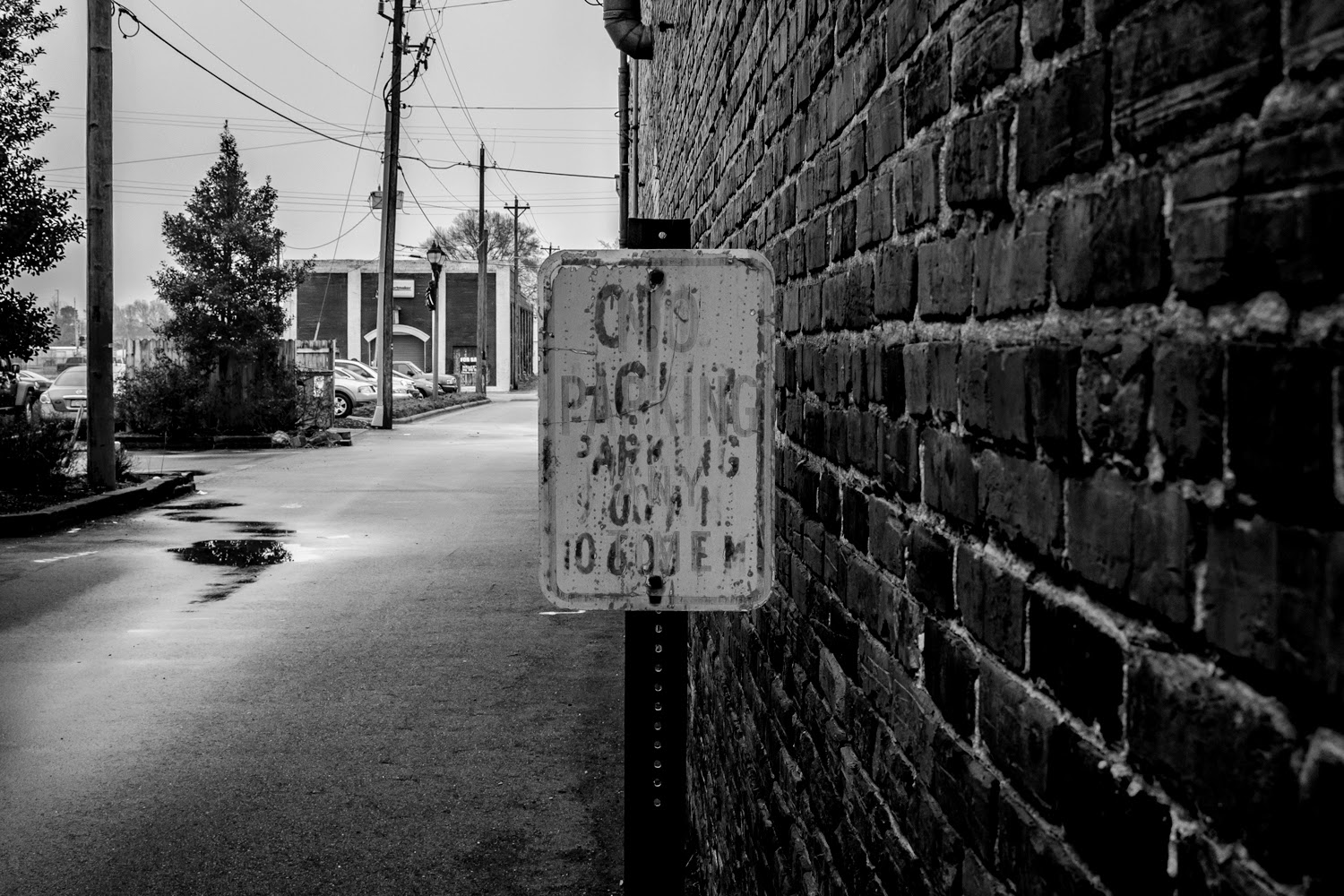 Natures Views Photography: Dunn Nc on a Deary Day