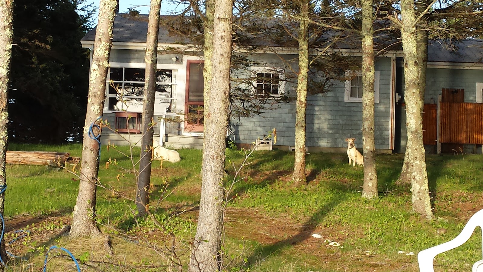 Voyages>`·.¸¸.·´¯`·...¸> : Hupper Island, Port Clyde