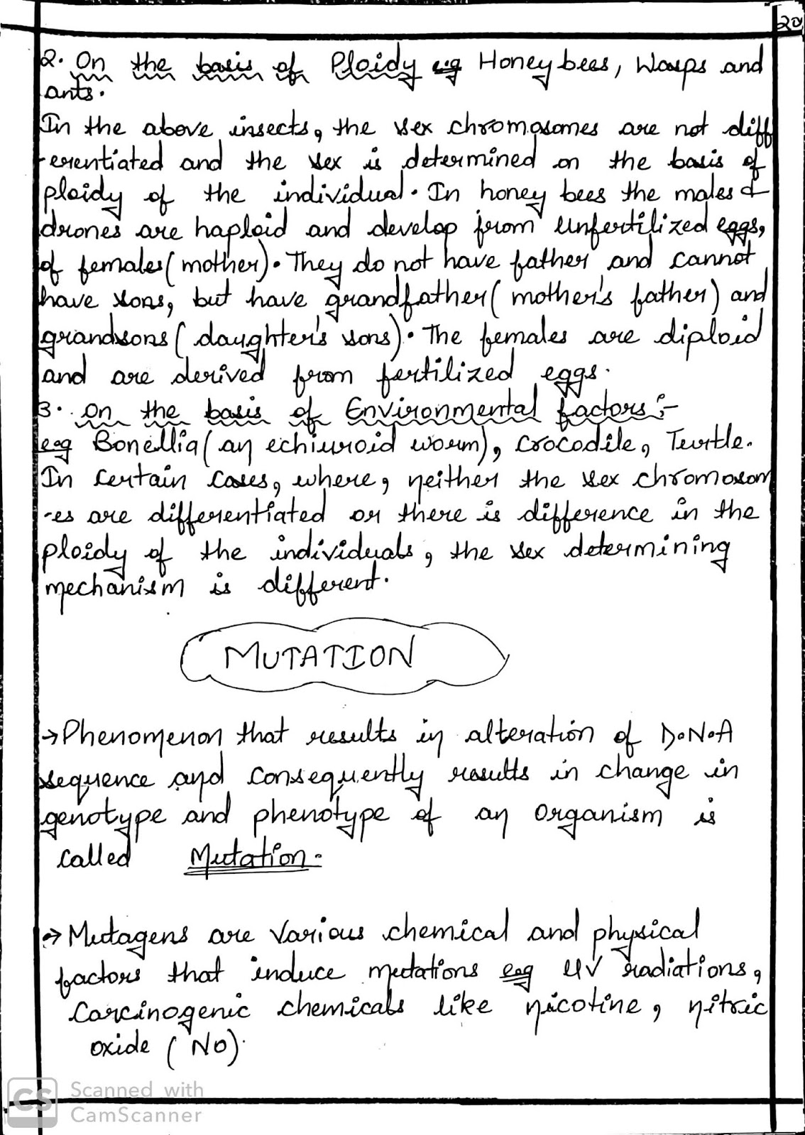Principle of Inheritance and Variation Handwritten Notes for 12th Biology