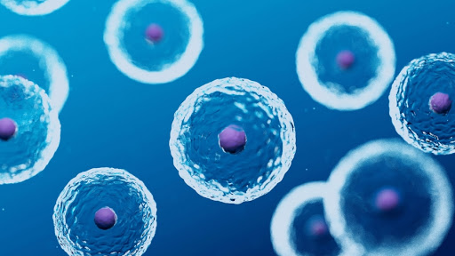 La Citología ~ Ciencias Auxiliares de la Biología