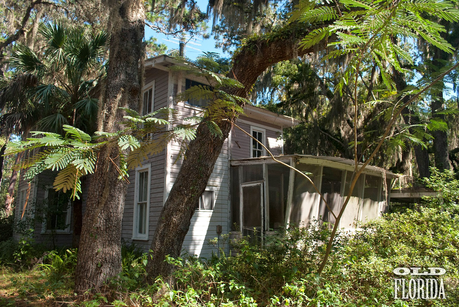 Old Florida: Ghost town in the woods: Kerr City