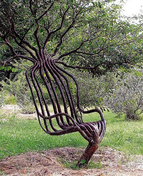 Mon jardin fleuri: Arbre en forme de chaise