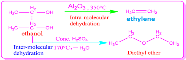 What is dehydration synthesis reaction in organic chemistry? - PG.CHEMEASY