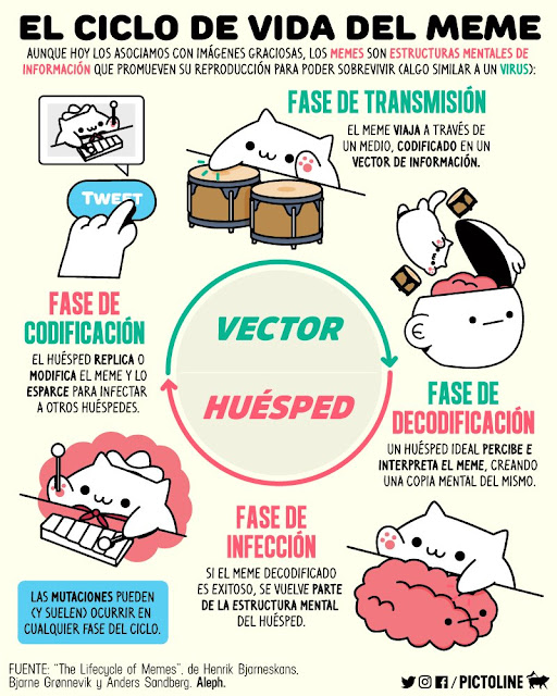 Ana Maygon: El ciclo de vida del meme #infografía