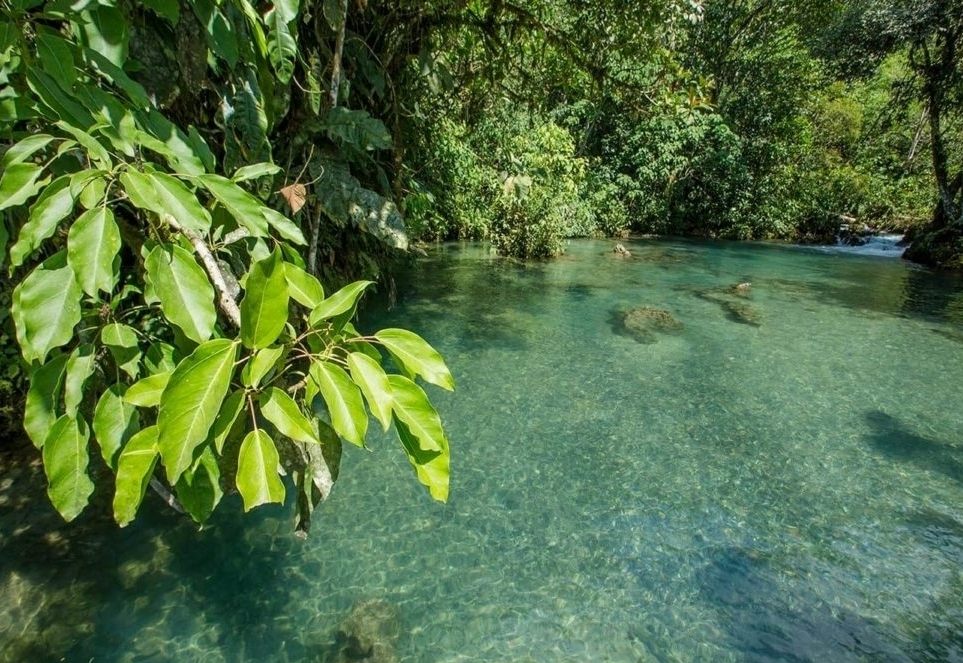 Disfruta en el Valle de Alto Mayo con los tours a Tarapoto | El Blog ...