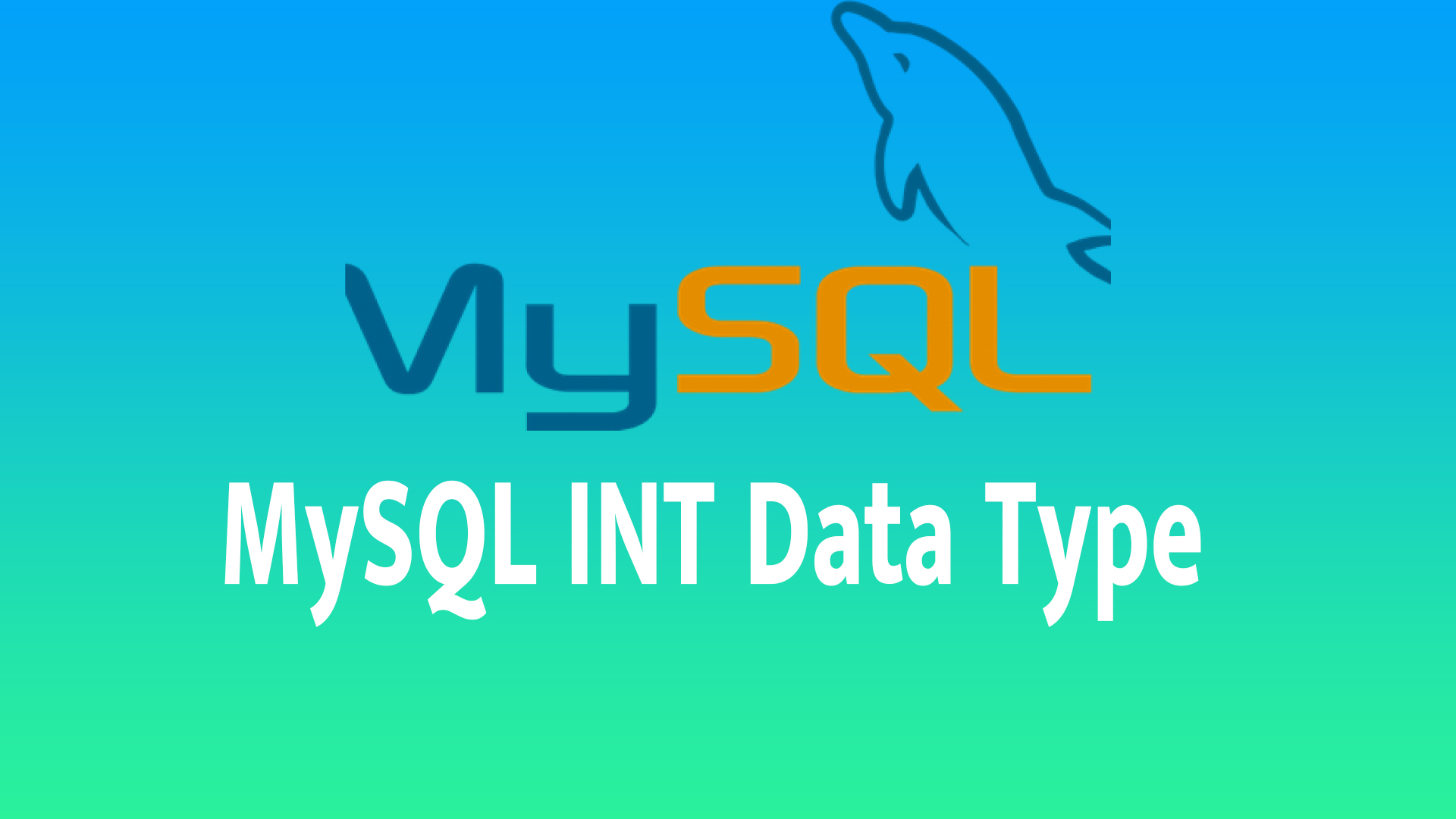 MySQL INT Data Type mysql-int-data-type