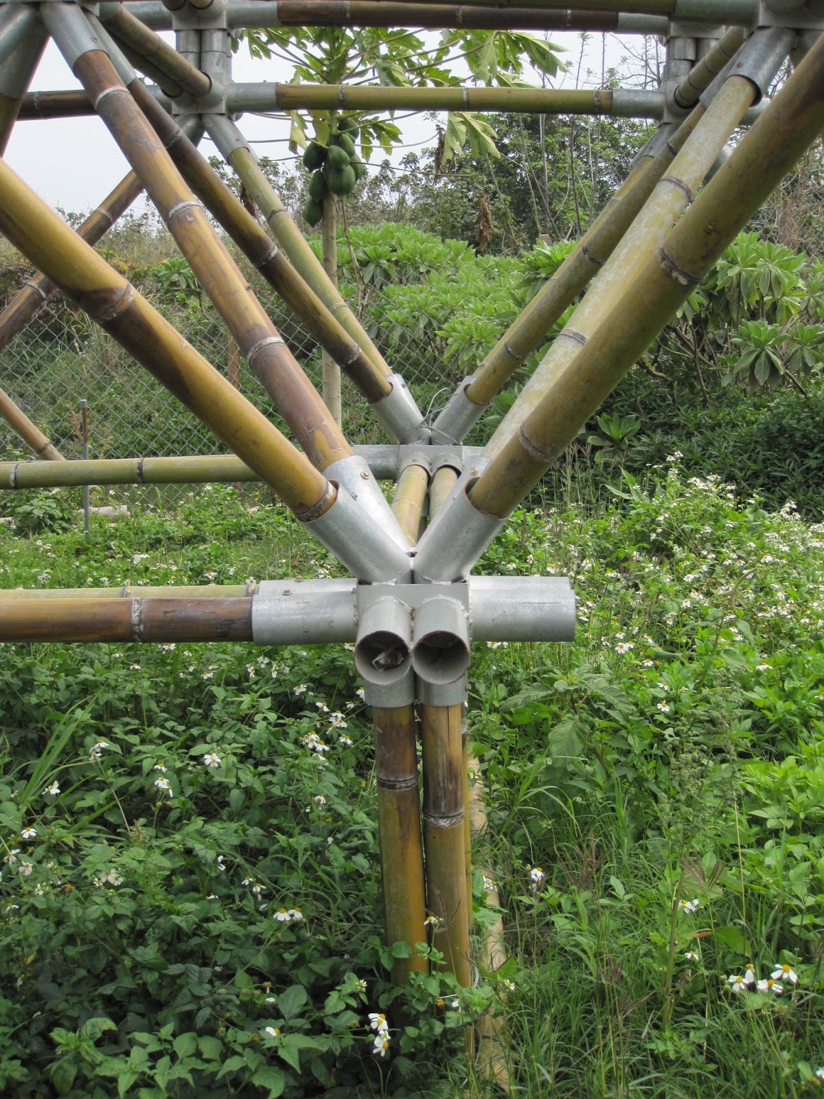 Estudiando Agricultura en Taiwán: Uniones en carpintería con bambú