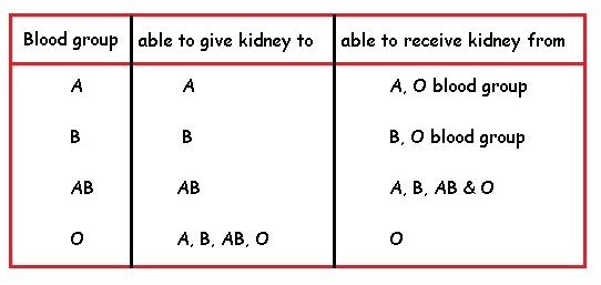Kidney transplant Source Procedure Compatibility