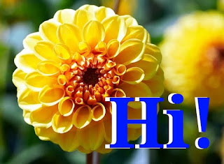 Top 10 Hi Images, Pictures, Photos, Greetings for WhatsApp - Good Morning