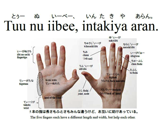 Isshin - Concentration the Art: Weapons of the hand in Okinawan