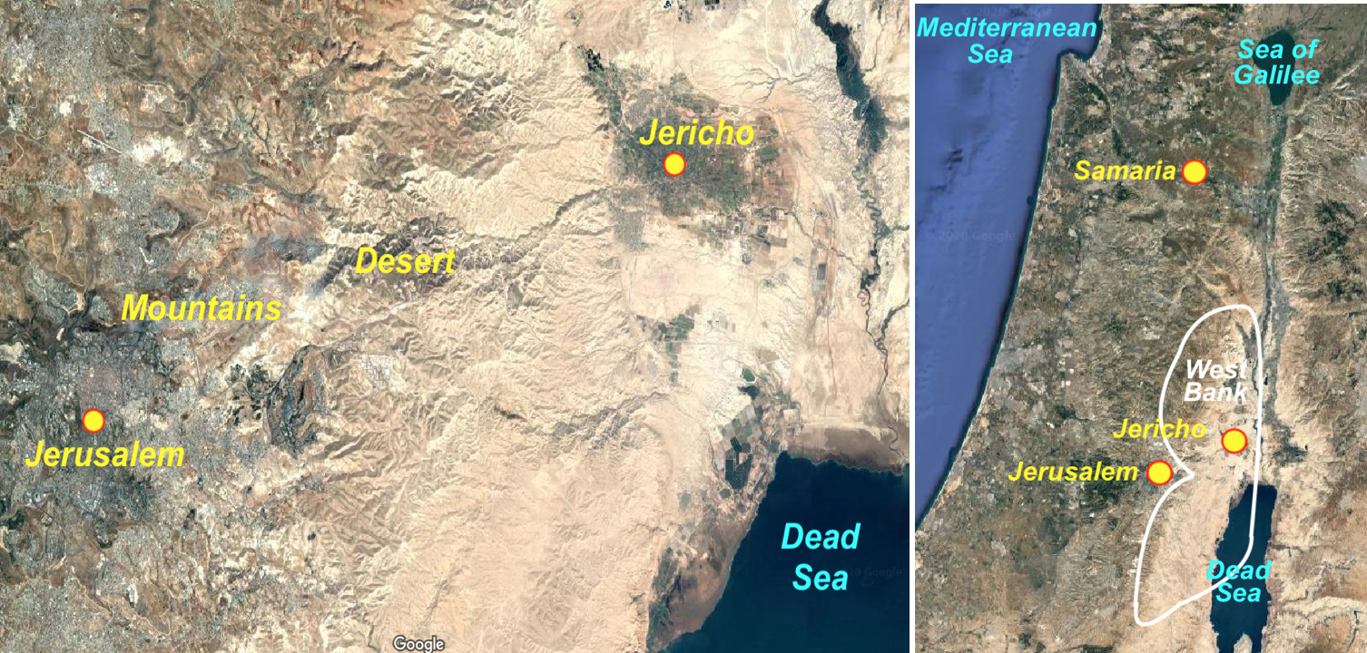 NephiCode: Importance of Comparison