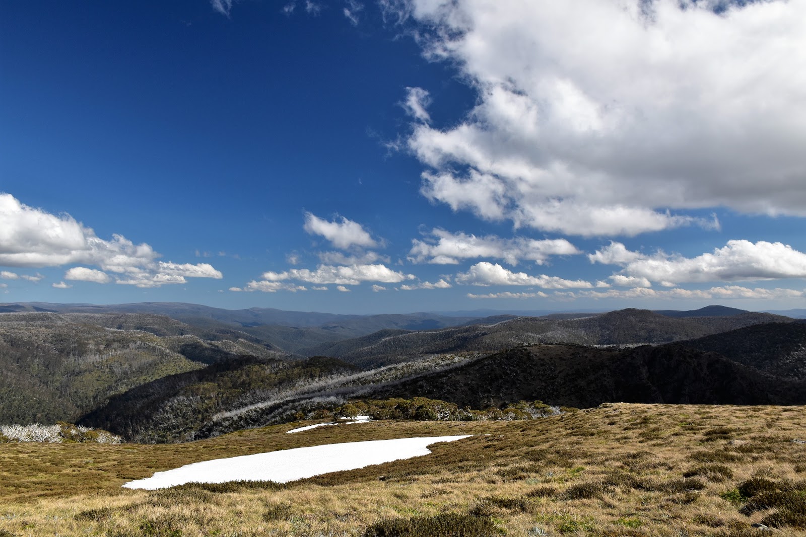 Goin' Feral One Day At A Time: Chesters Yard to Vallejo Gantner Hut ...
